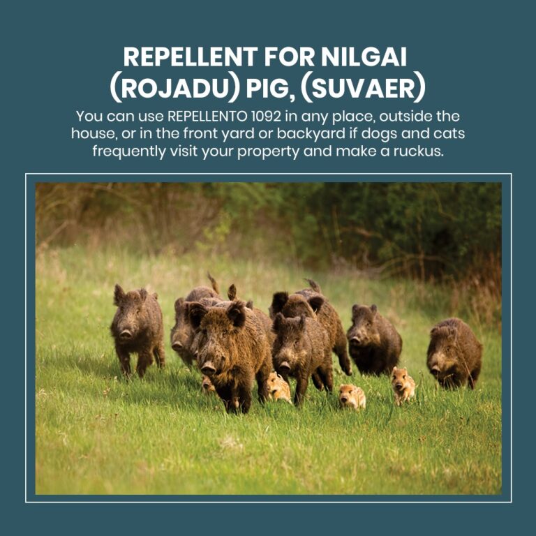 REPELLENTO 1092 Repellent For Nilgai & Pig - clearzone
